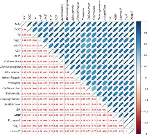 Relationship Among Key Physicochemical Properties P Fractions Alp