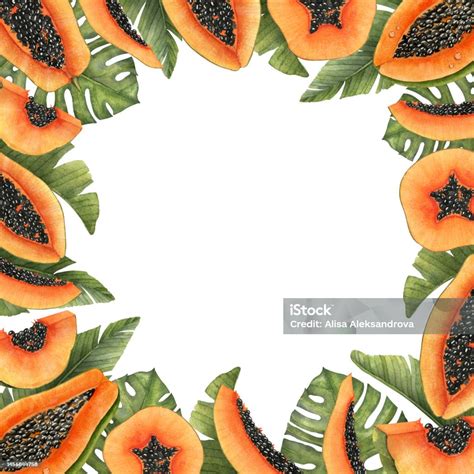 파파야 수채화 프레임 고립된 배경에 주황색 이국적인 열대 과일과 녹색 야자수 잎이 있는 손으로 그린 사각형 테두리 채식 여름 유기농 날 음식 생산 라벨용 템플릿 디자인에