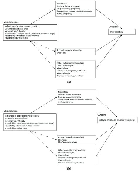 Conceptual Frameworks For The Association Between The Exposures Of
