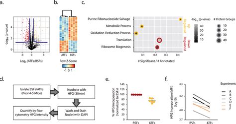 Proteome Analysis And Protein Synthesis Of Parasites Isolated From