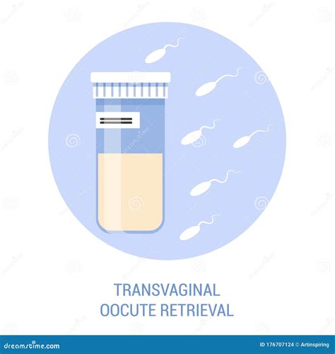 Egg Retrieval And Transvaginal Oocyte Extraction From Ovaries In Vitro