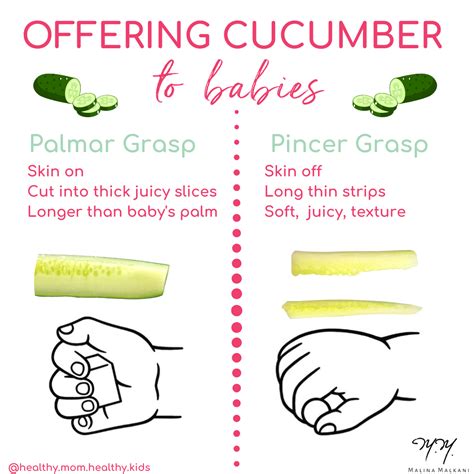 Blw How To Prepare Cucumber For Babies Malina Malkani