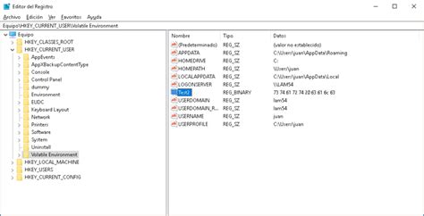 Ejecutar La Información Que Se Encuentra En Un Valor Binario Del