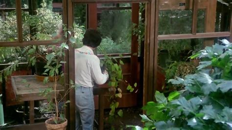 Erotic Adventures Of Candy John Holmes Eporner