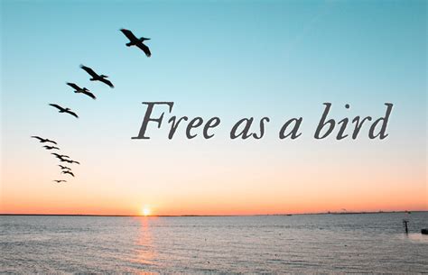 8 User Friendly Tools To Write Text On Image Let Your Creativity Shine