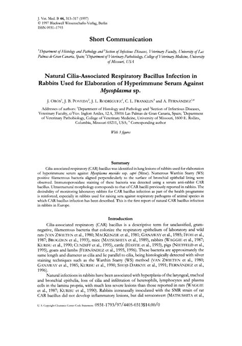 Pdf Natural Cilia Associated Respiratory Bacillus Infection In Rabbits Used For Elaboration Of