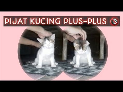Kucing Pijat Plus Plus Edisi Tontonan Dew S Youtube