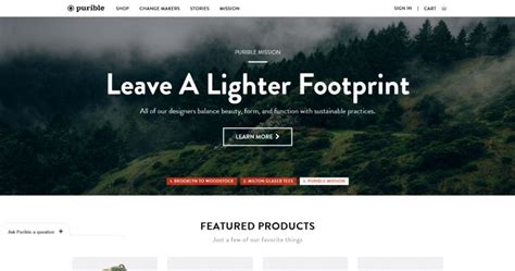 Examples Of Clean Modern Web Design Brave Whale