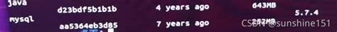 Docker中mysql遇到密码失效在docker部署的数据库我的数据库账号密码突然登不进去了 Csdn博客