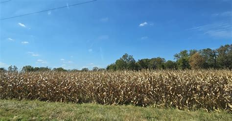 복합위기 시대의 실리콘밸리 손호철의 미국사 뒤집어보기 5