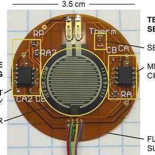 Wired Prototype Of Sensor Patch Download Scientific Diagram