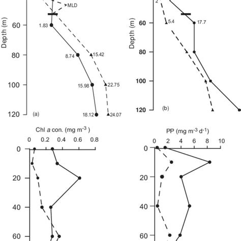 Vertical Profiles Of A Nitrate µm B Silicate µm Thick Black Download Scientific