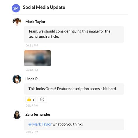 It Management And Software Development With Zoho Projects