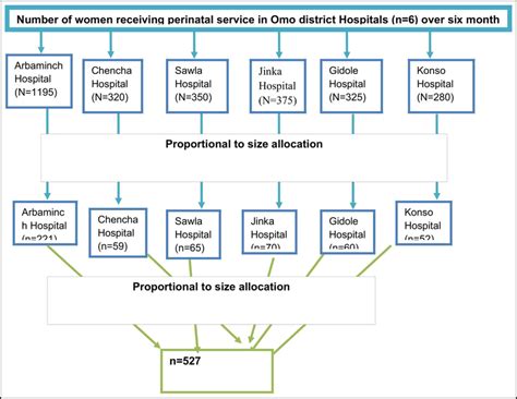 Pictorial Presentation Of Women Enrolled For A Casecontrol Study On Download Scientific