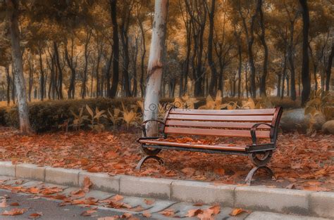 공원 벤치 가을 의자 사진 무료 다운로드 Lovepik