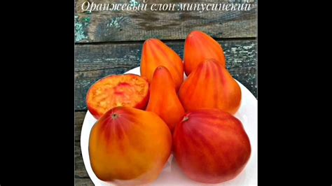 Какие семена и что буду сажать в этом году Youtube