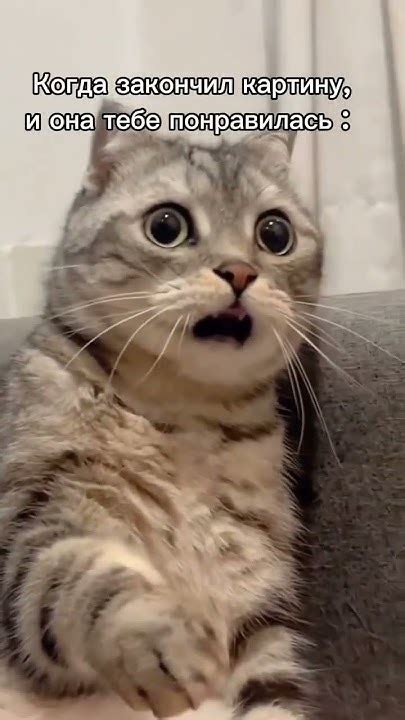 И так всегда 😁 художник ольгабазанова творчество искусство шортс картинамаслом кисть