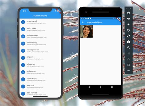 Github N1k3cflutter Contacts