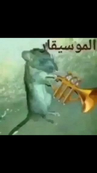 Stolenmjzah • Instagram Photos And Videos