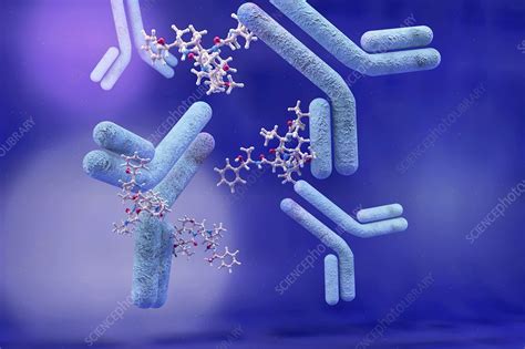 Antibody Drug Conjugates Illustration Stock Image C0294550