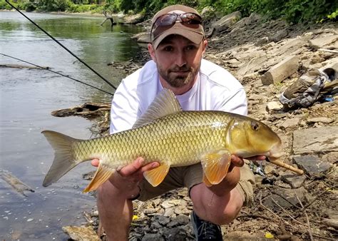 How To Catch Suckers And Why You Should Outdoor Life