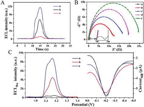 A Ecl Response Of Biosensors Prepared Using Different Methods A Download Scientific