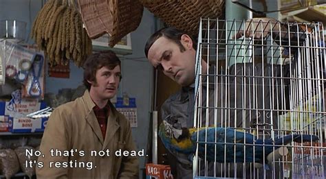 Monty Pythons Take On The Two State Solution Jewish And Israel News