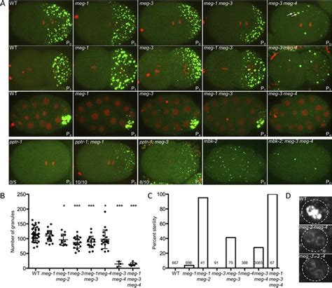 Figures And Data In Regulation Of Rna Granule Dynamics By Phosphorylation Of Serine Rich