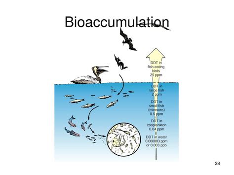 Ppt Environmental Health And Toxicology Powerpoint Presentation Free Download Id 6768552