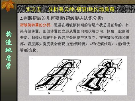 实习6 读褶皱地区地质图7 word文档在线阅读与下载 无忧文档