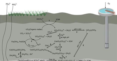 The Subterranean Chemistry That Explains Indias Groundwater
