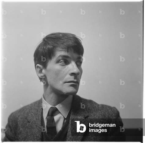 Image Of Oliver Bernard Portrait Of Poet And Rimbaud Translator And