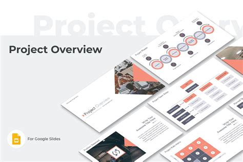 Project Overview