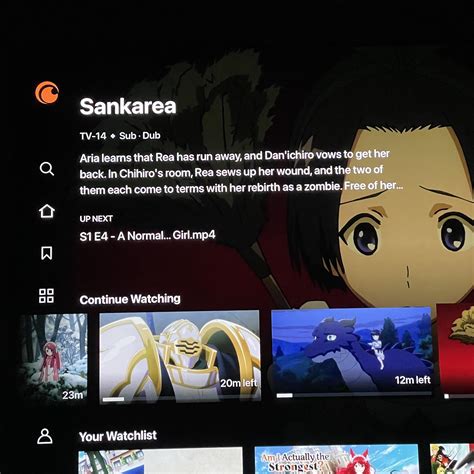 Seems Nobody Checked The Metadata Of The Show Rcrunchyroll