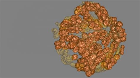 Premium Photo The Mammary Gland Is Composed Of Lobules Which Are Clusters Of Cells That