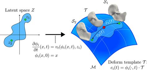 Overview Of Our Framework We Map A Latent Vector Z I To A Time