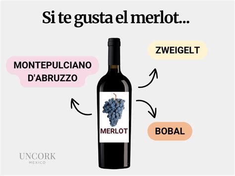 Tipos De Uvas Para Vino Wholesale Usa