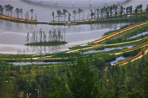 Minghu Wetland Park By Turenscape Landscape Architecture Platform Landezine