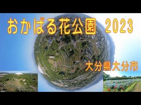おかばる花公園ネモフィラ祭り 大分市大字横尾字岡原 YouTube