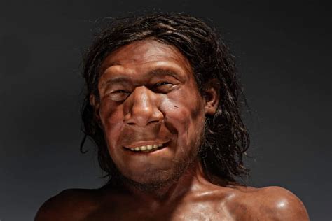 This Is What The First Neanderthal Discovered In The Netherlands Looked