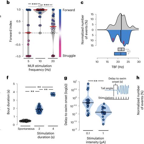 Mlr Stimulation Parameters Set The Duration Time Onset Amplitude And