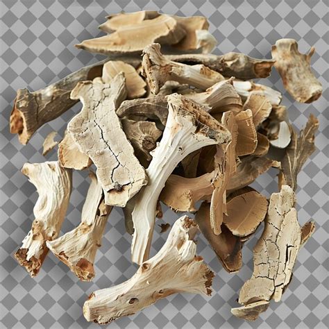 Premium Psd White Atractylodes Type Of Herb Atractylodes Macrocephala Fo Isolated Object On