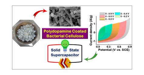 Polydopamine Functionalized Porous Carbon Nanofibers Derived From