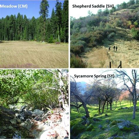 Color Online Photographs Illustrating The Ecological Characteristics