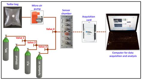 Characterization Of Unpleasant Odors In Poultry Houses Using Metal