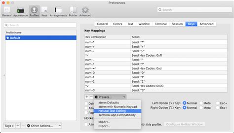 Shell Binding Option Left And Right Arrows To Move By Words In Zsh