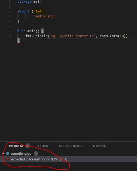 vscode package issue this is code copied from r golang