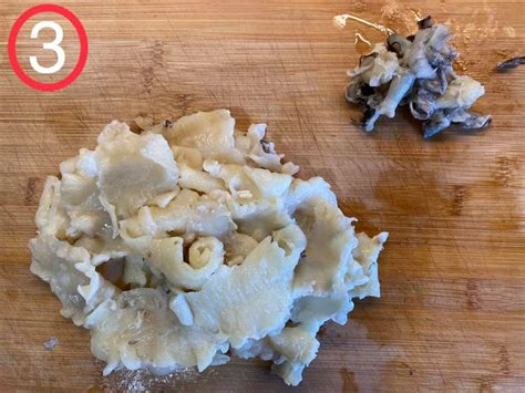 Chef Salvatore Bianca Added A New Chef Salvatore Bianca