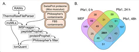 Dataflow Pipeline And Identification Counts In Proteomic Data A Download Scientific Diagram