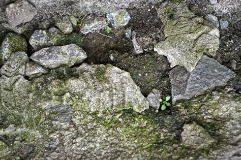오래 된 그런 지 오래 된 콘크리트 벽입니다 버려진된 상태 및 디자인에 대 한 배경에서 긁힌 재고 사진 0명에 대한 스톡 사진 및 기타 이미지 Istock